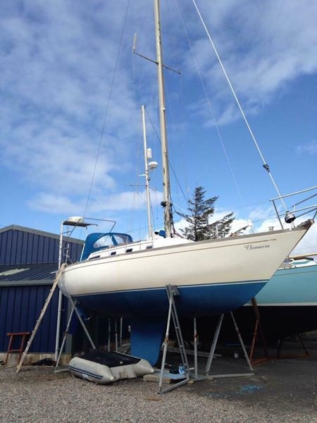 Carter 33 "Chimaera" For Sale - Mainsail Marine